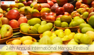International Mango Festival in Miami - The Kreative Life
