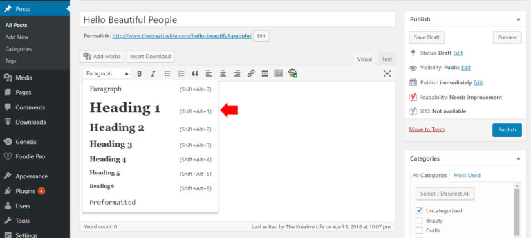 How to Publish a Post in Wordpress: An Easy Guide for Beginners - The ...